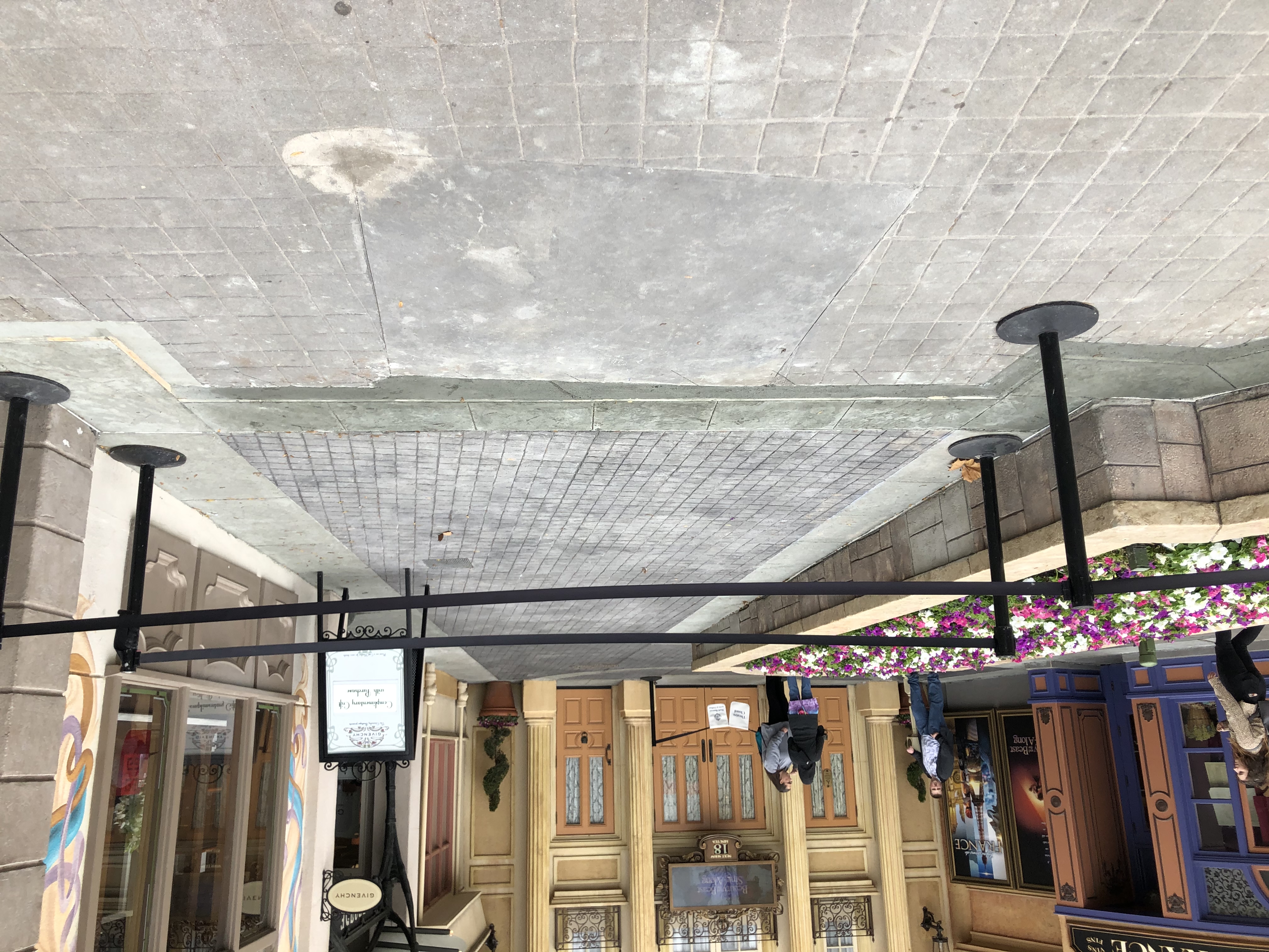 PHOTO REPORT: EPCOT 2/21/20 (Disney Princess Half Marathon Chalk ...