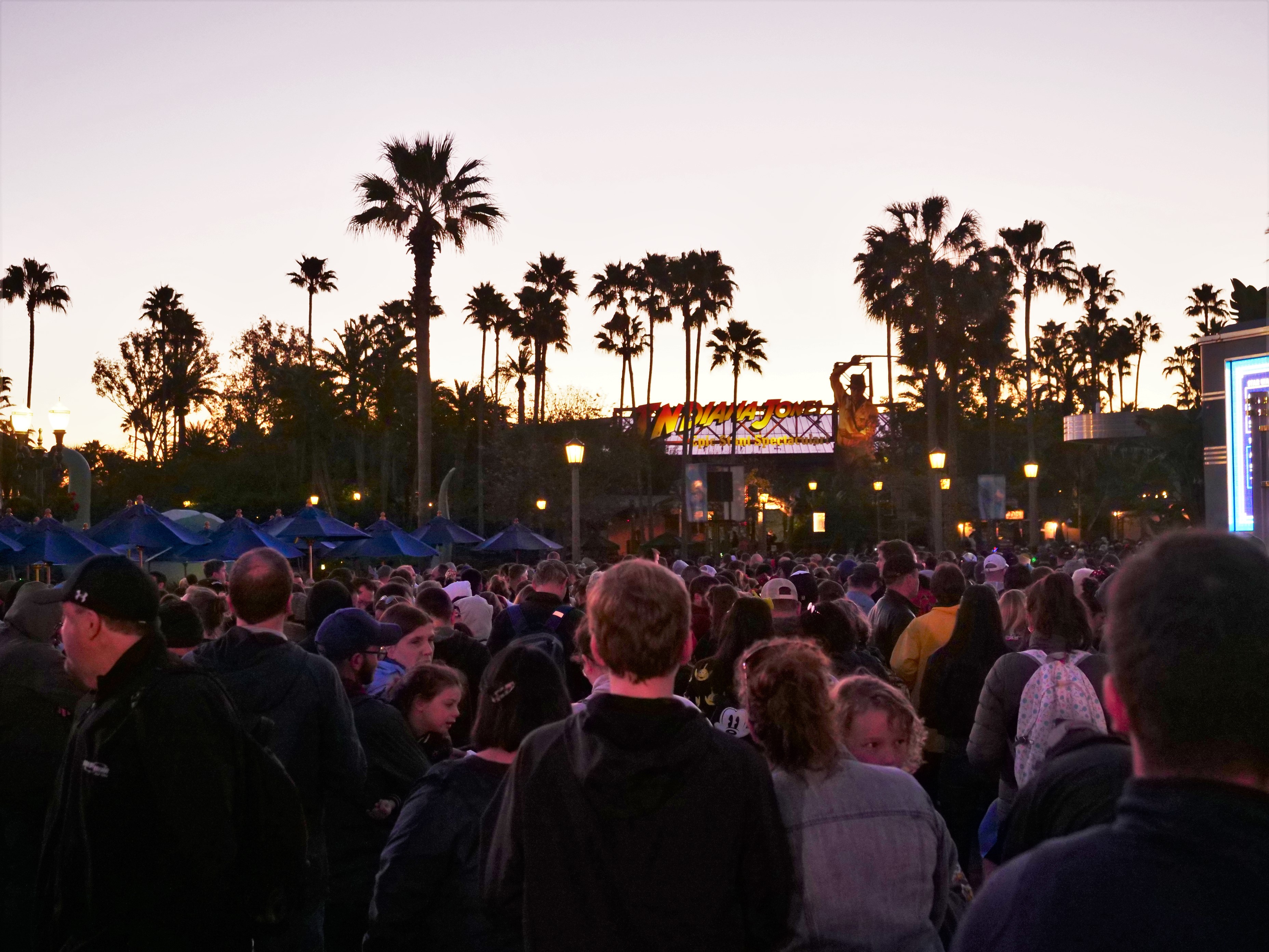 PHOTO REPORT: Disney's Hollywood Studios 2/8/20 (Retro Apparel ...